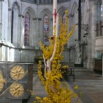 Fleurir le cierge pascal | Liturgie & Sacrements